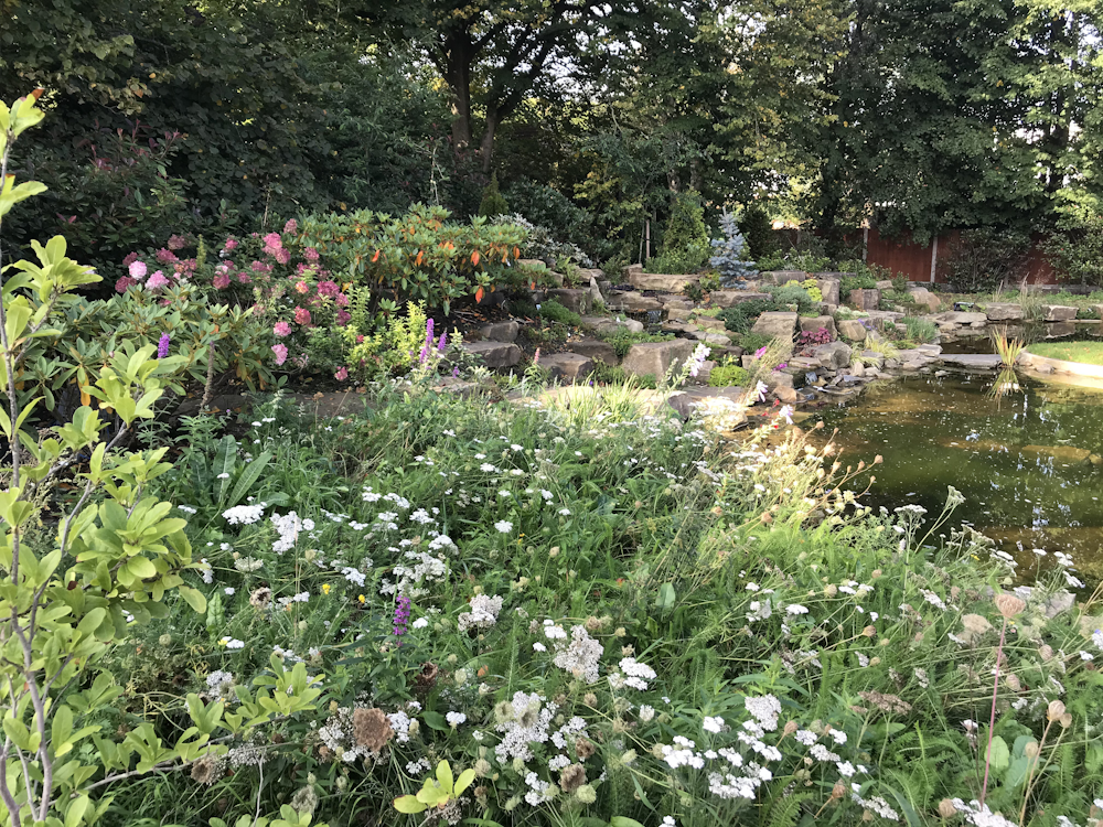 Jackie Knight Landscapes - Water Features